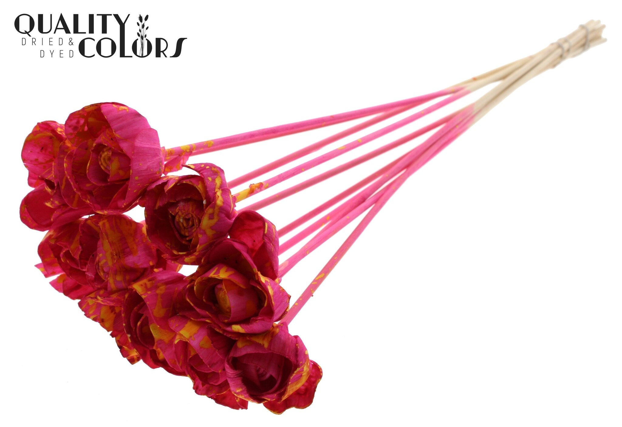 Shola Rose on Stem Christmas-Coloured Yellow - Maintenance-Free 10 ...