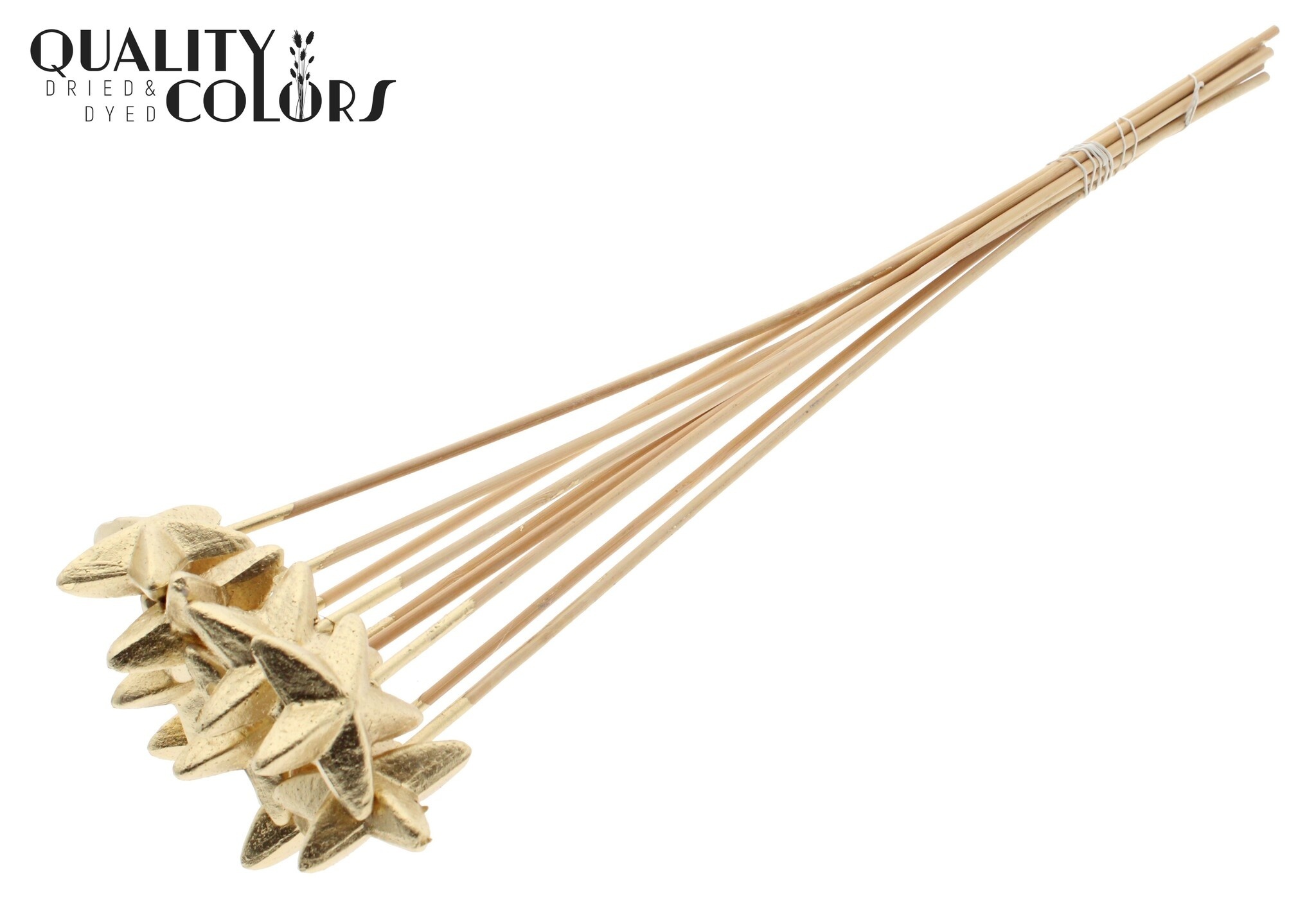Antique Gold-Coloured Styrofoam Star on Stick for Decoration ...