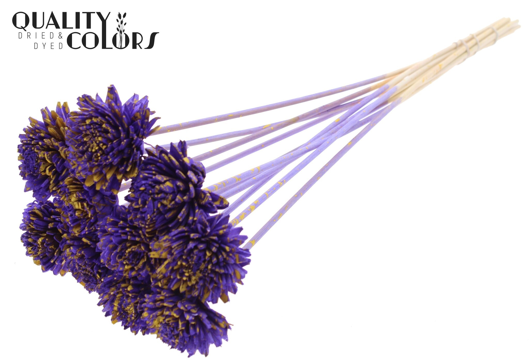 Shola Houten Zinnia on Stem - Sustainable and Colourful Decor ...