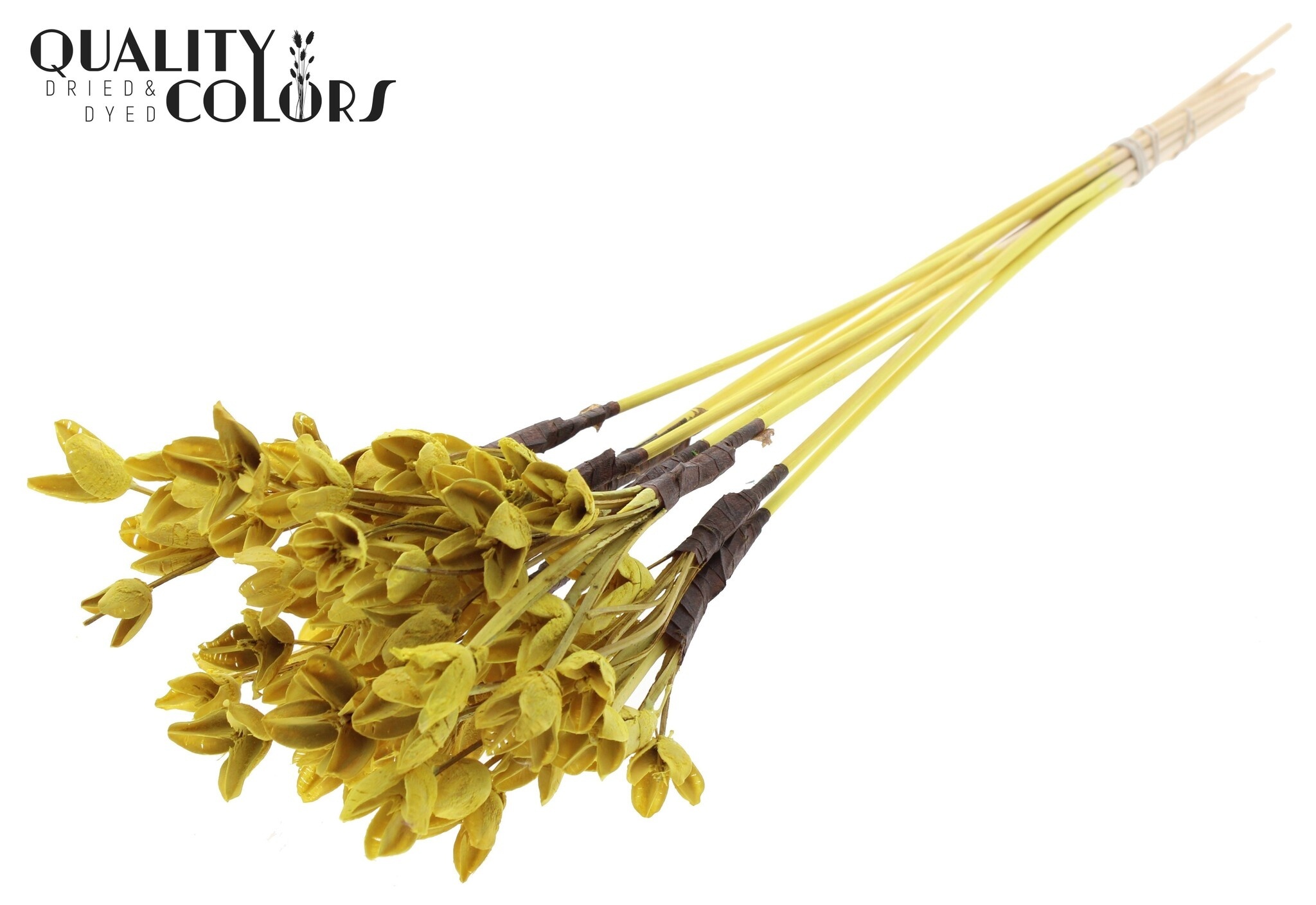 Yellow Bowl on Stick - Sustainable Beech Nut Decoration 50 cm ...