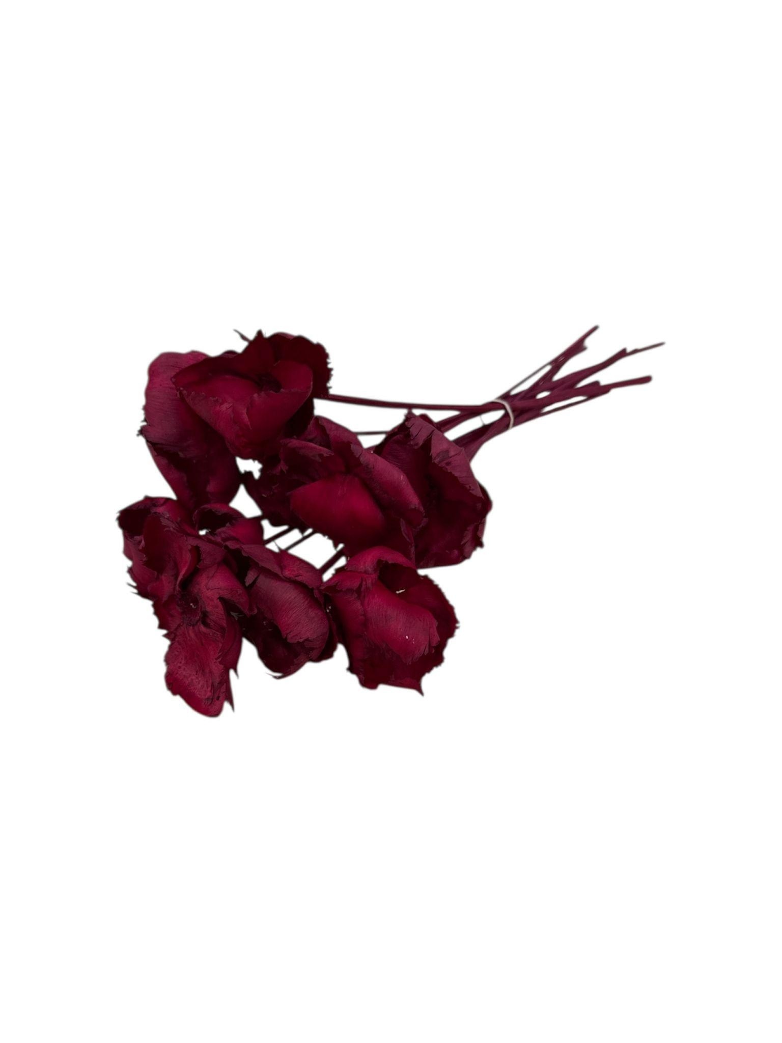 Red Palm Cup dried flowers for an elegant interior - MyFlowers.shop ...