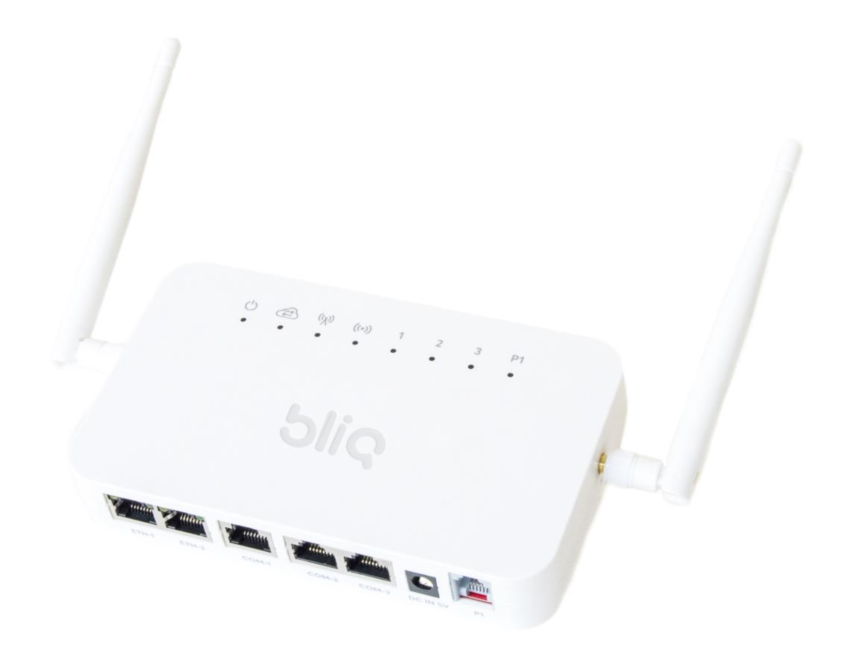 Bliq Energy Manager V2.0 - JB Solar