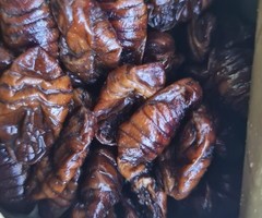 Rotterdamvisaas voor al uw karper- of witvis aas. - Rotterdam Visaas