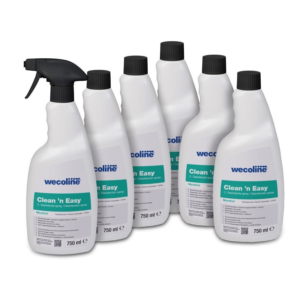 Clean 'n Easy Desinfectie foamspray 6 x 750 ml - Sanaja