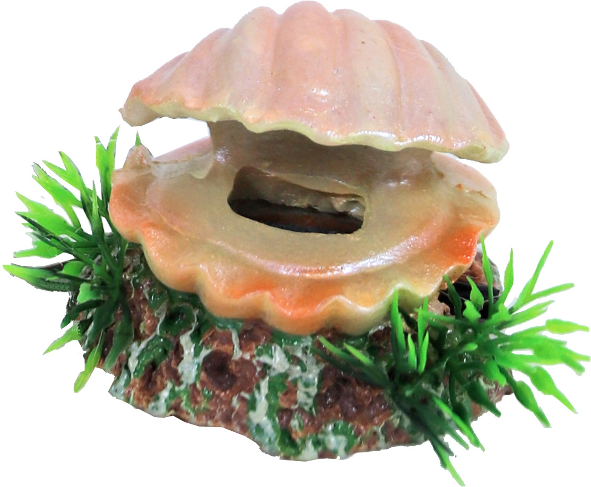 PR. ORNAMENT SCHELP UITSTROMER - Heems
