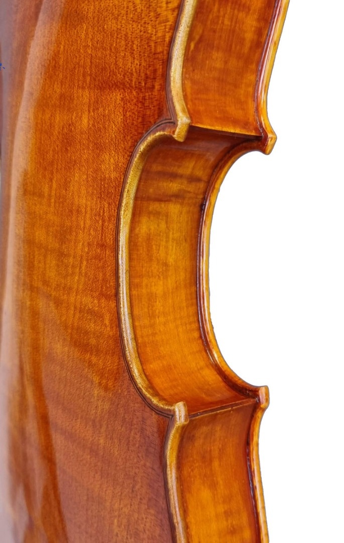 Altviool gebouwd door Ornella Ceci 2021 (16" - 41cm ...