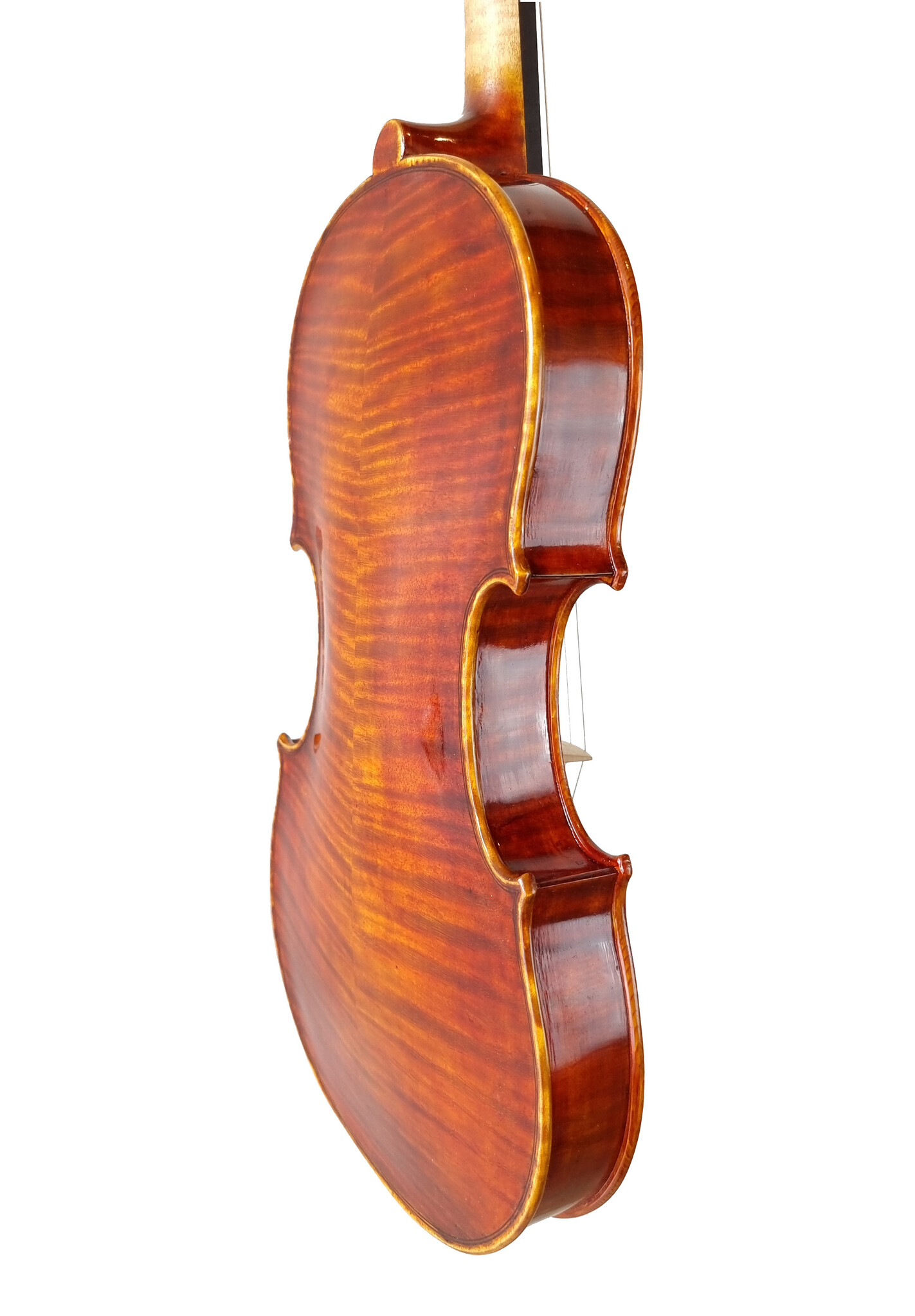 Viool Ornella Ceci "Apollo" - Guarneri model - Strijkinstrumentenshop.nl