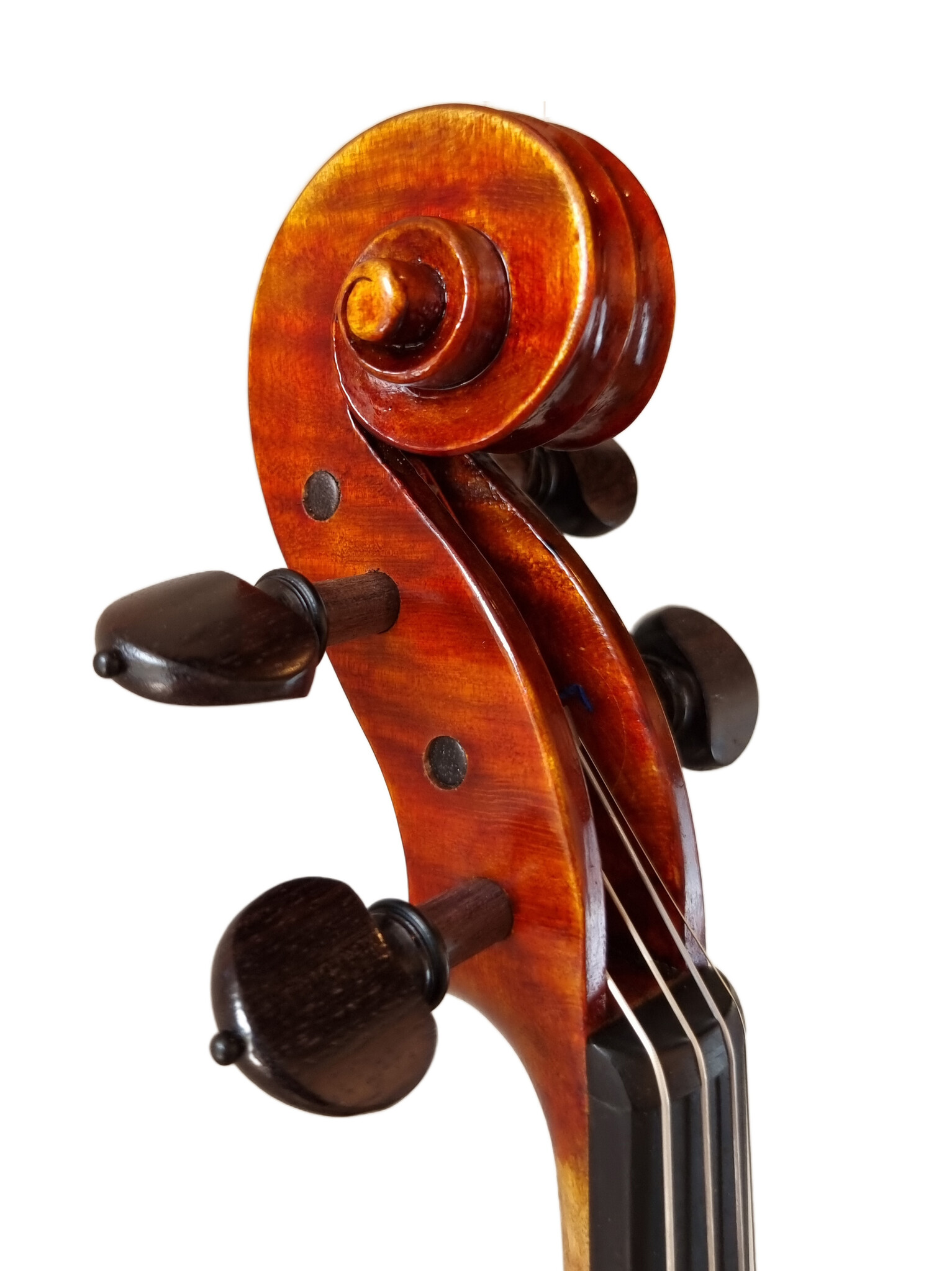 Viool Ornella Ceci "Apollo" - Guarneri model - Strijkinstrumentenshop.nl