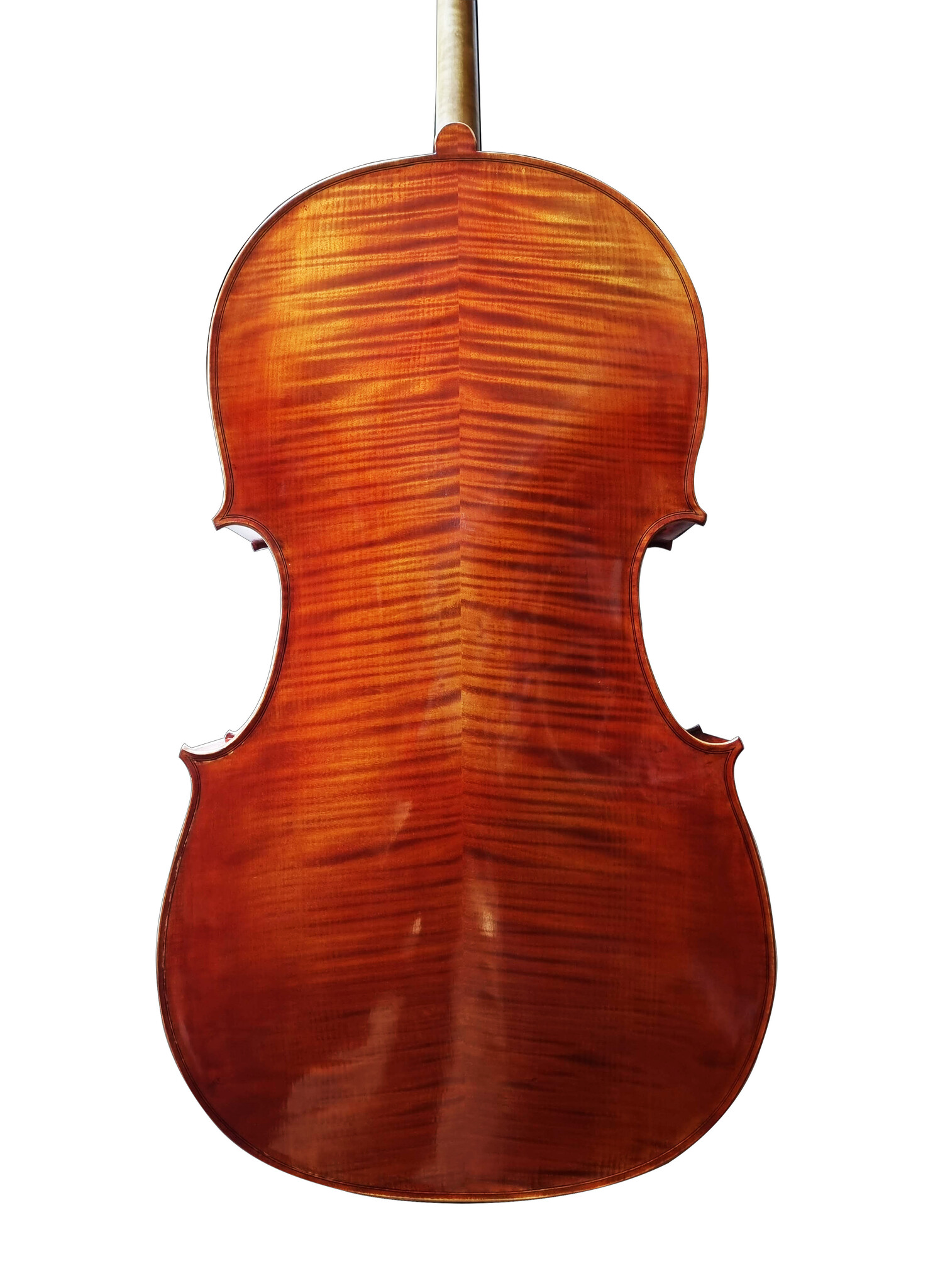 Simon Jozsef Maestro Cello - Strijkinstrumentenshop.nl