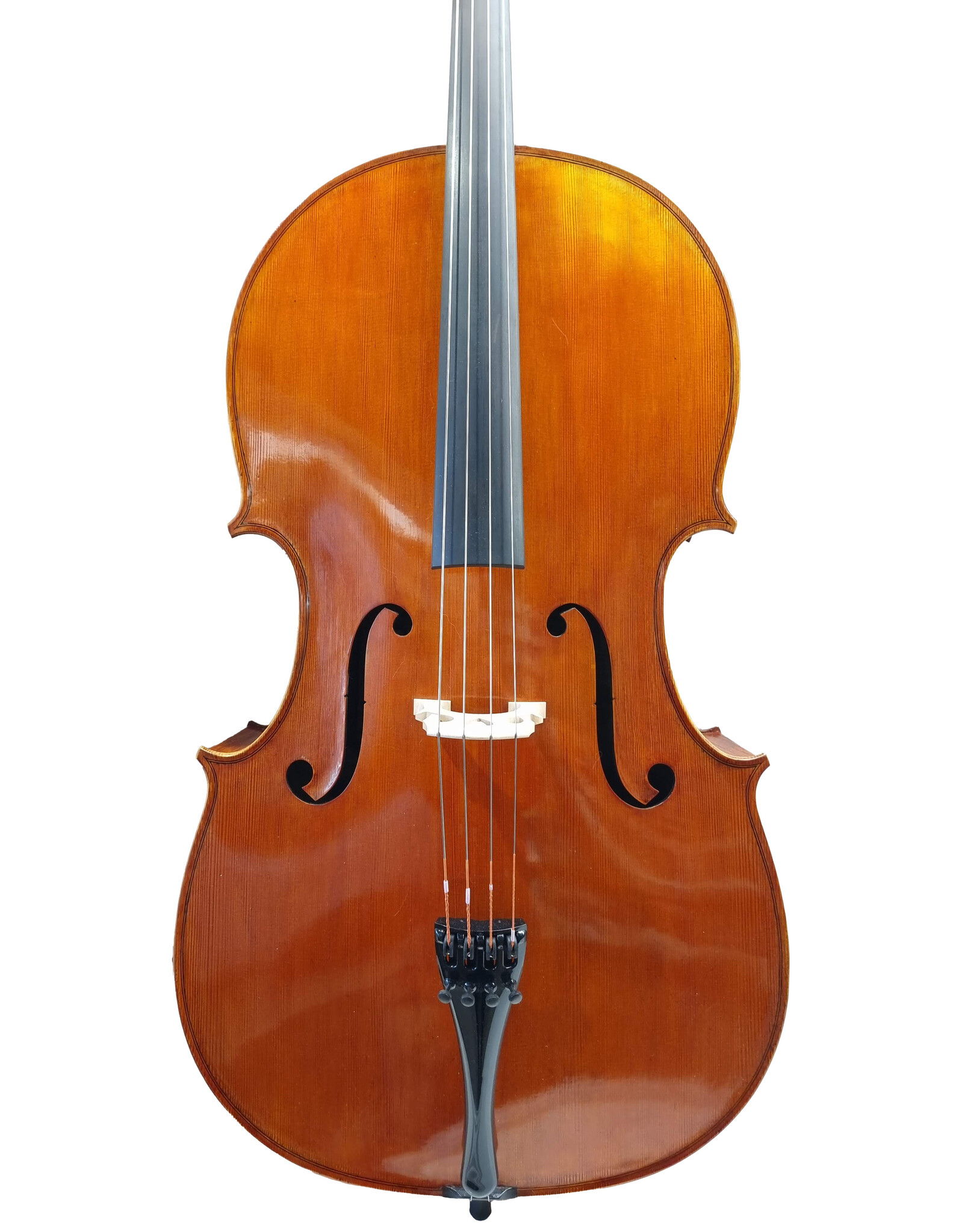 Maestro Cello - BowedInstrumentsShop