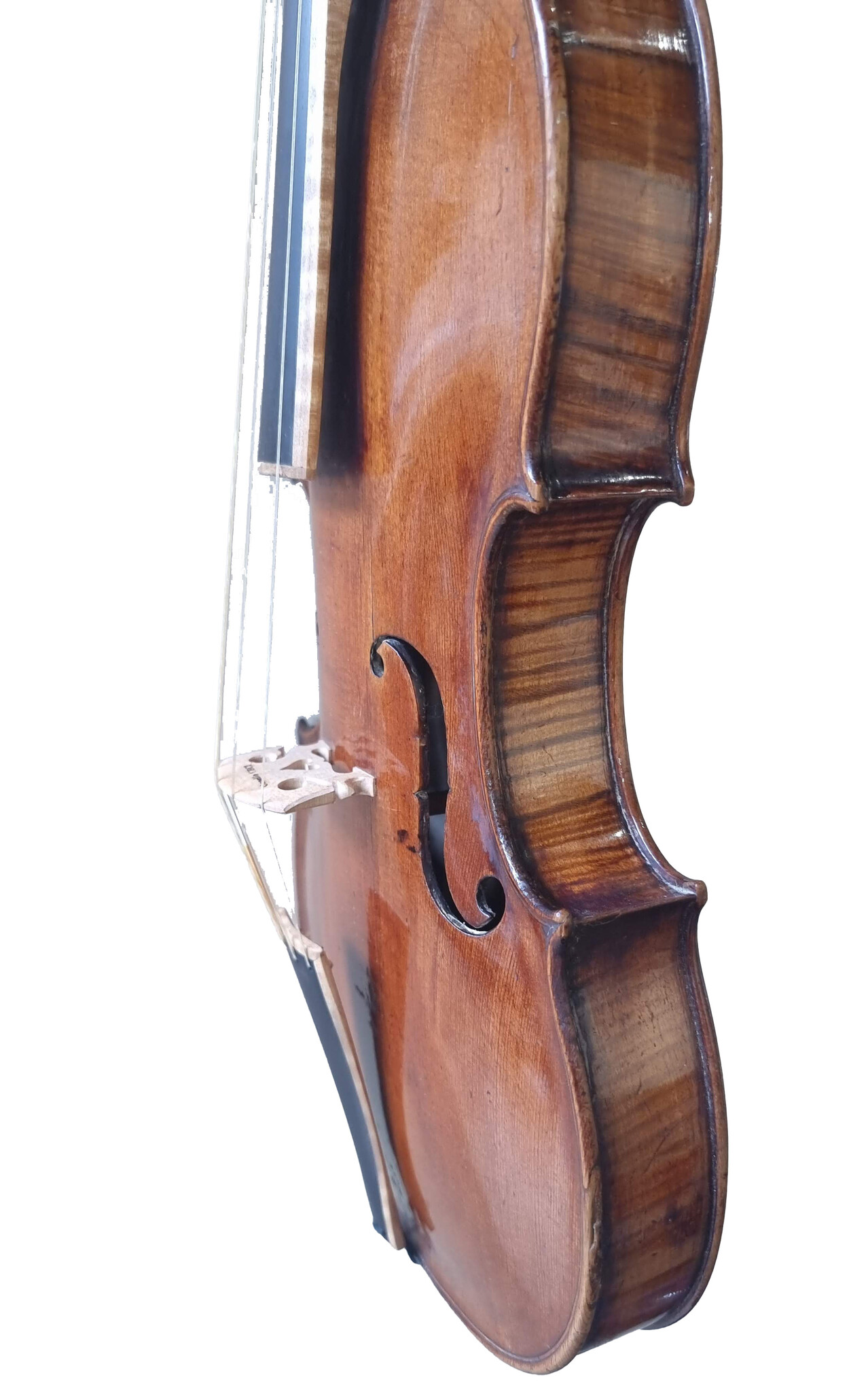 - Antique German Baroque Violin - BowedInstrumentsShop
