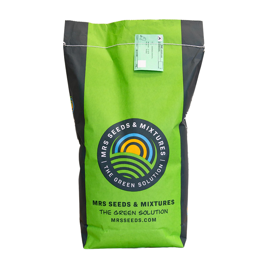 Rotschwingel fein | MRS Seeds & Mixtures