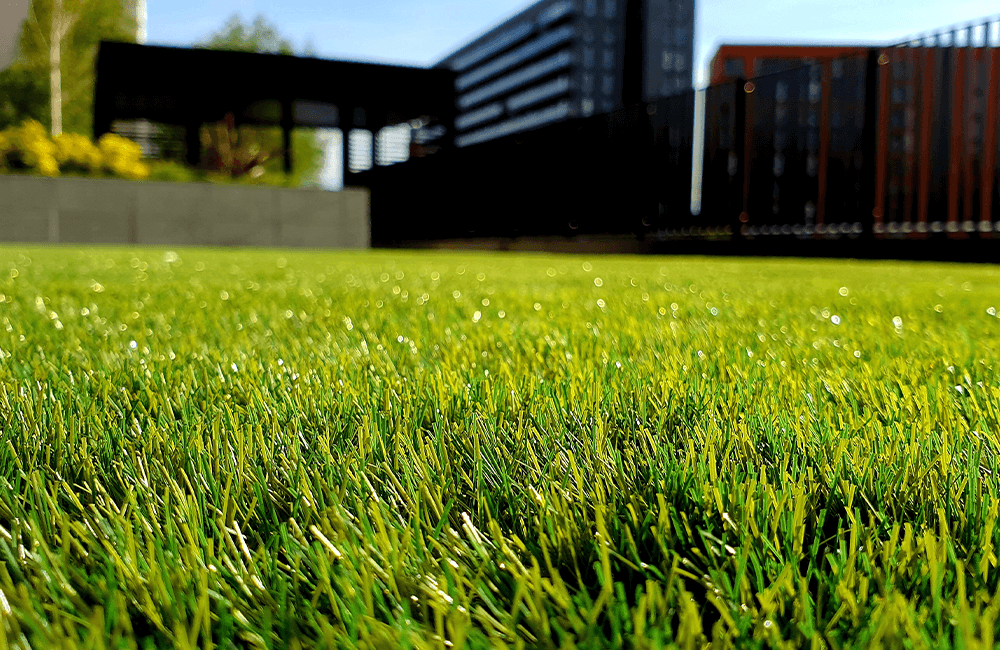Rasen säen: So legen Sie einfach einen gesunden Rasen an - Samendirekt.de