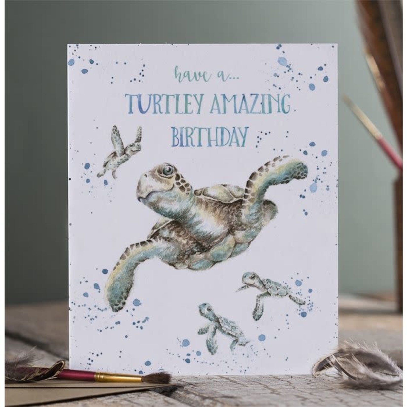 Karte Turtley Amazing - Sense for Smile