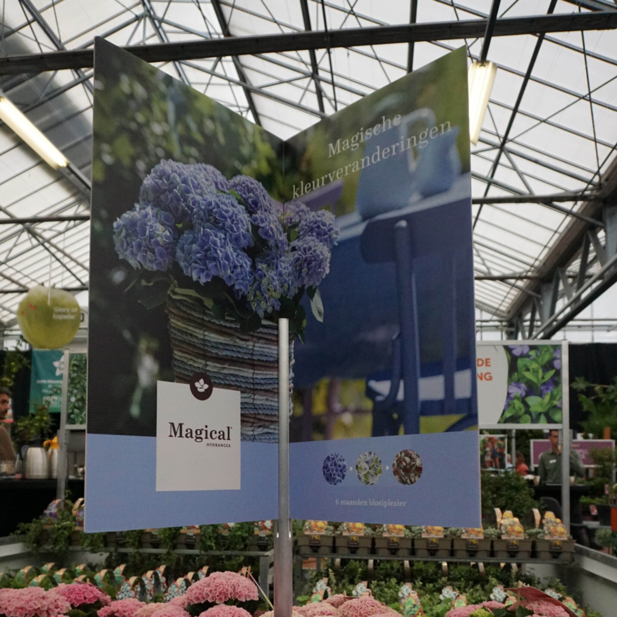 Bricks 3D molentje Magical - Bricks Presentation