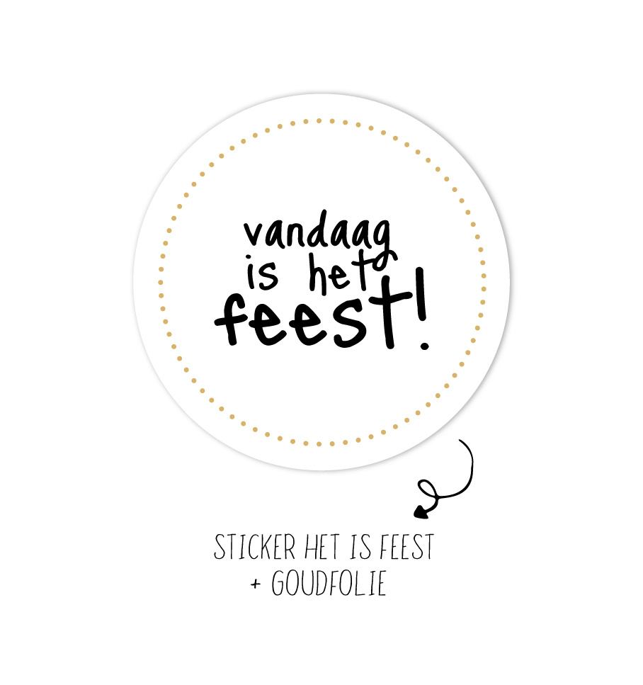 Sticker | vandaag is het feest | 10 stuks | winkeltjevananne.nl