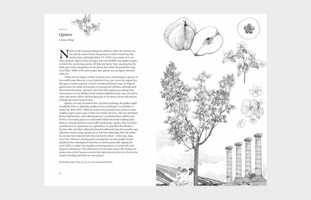 Around the World in 80 Trees - BIS Publishers