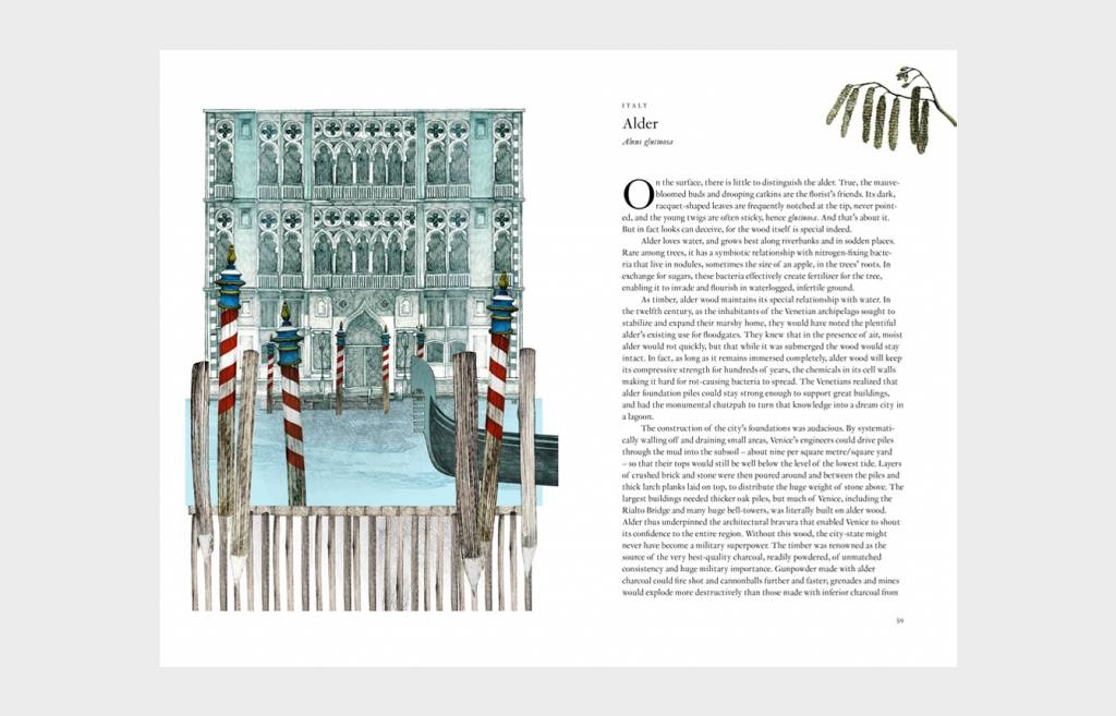 Around the World in 80 Trees - BIS Publishers