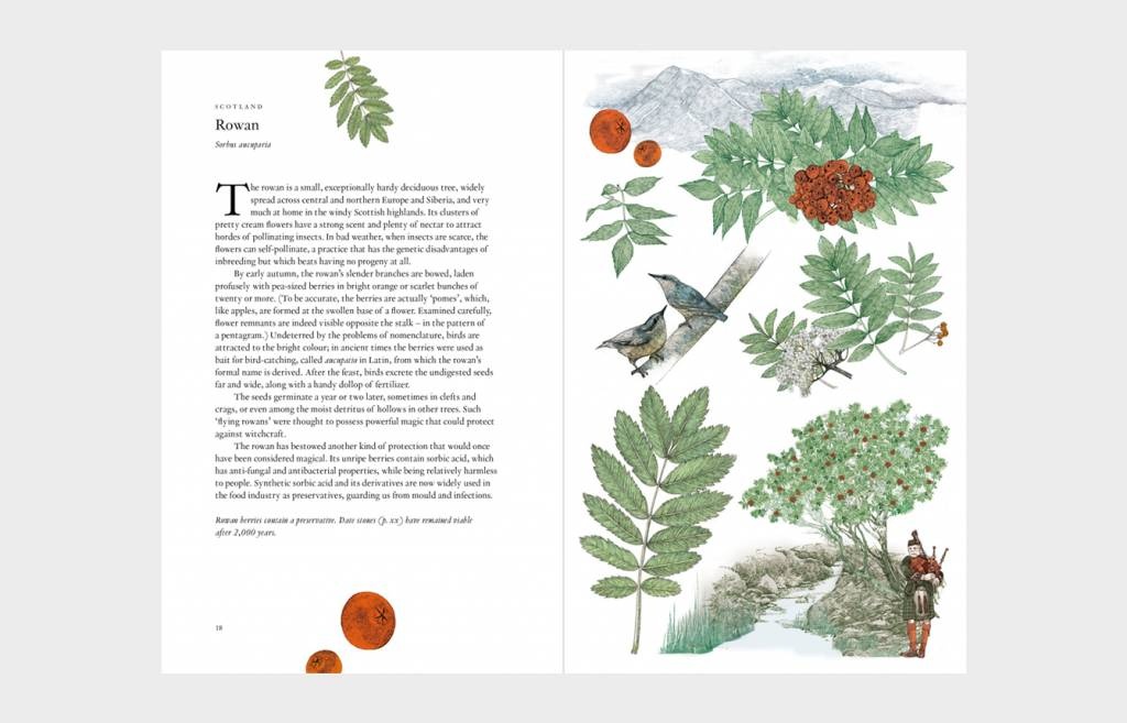 Around the World in 80 Trees - BIS Publishers