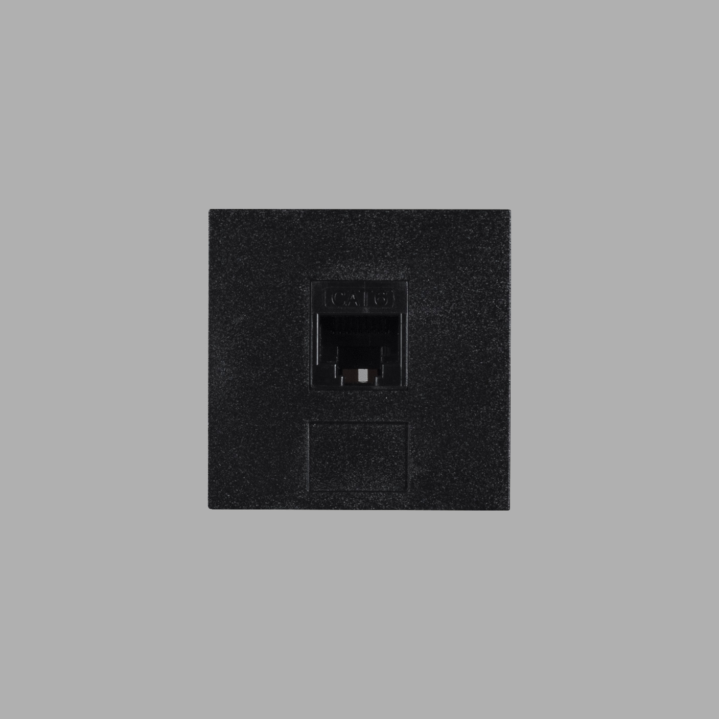 Buster and Punch RJ45 Module - Proluca Interiors