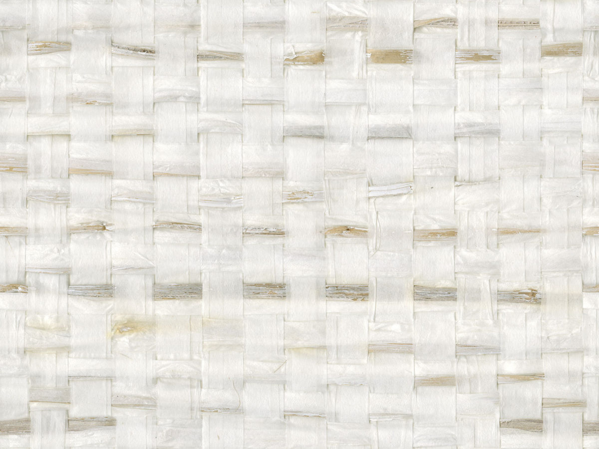 Arte Shades of Pale - Off White / Beige - Proluca Interiors