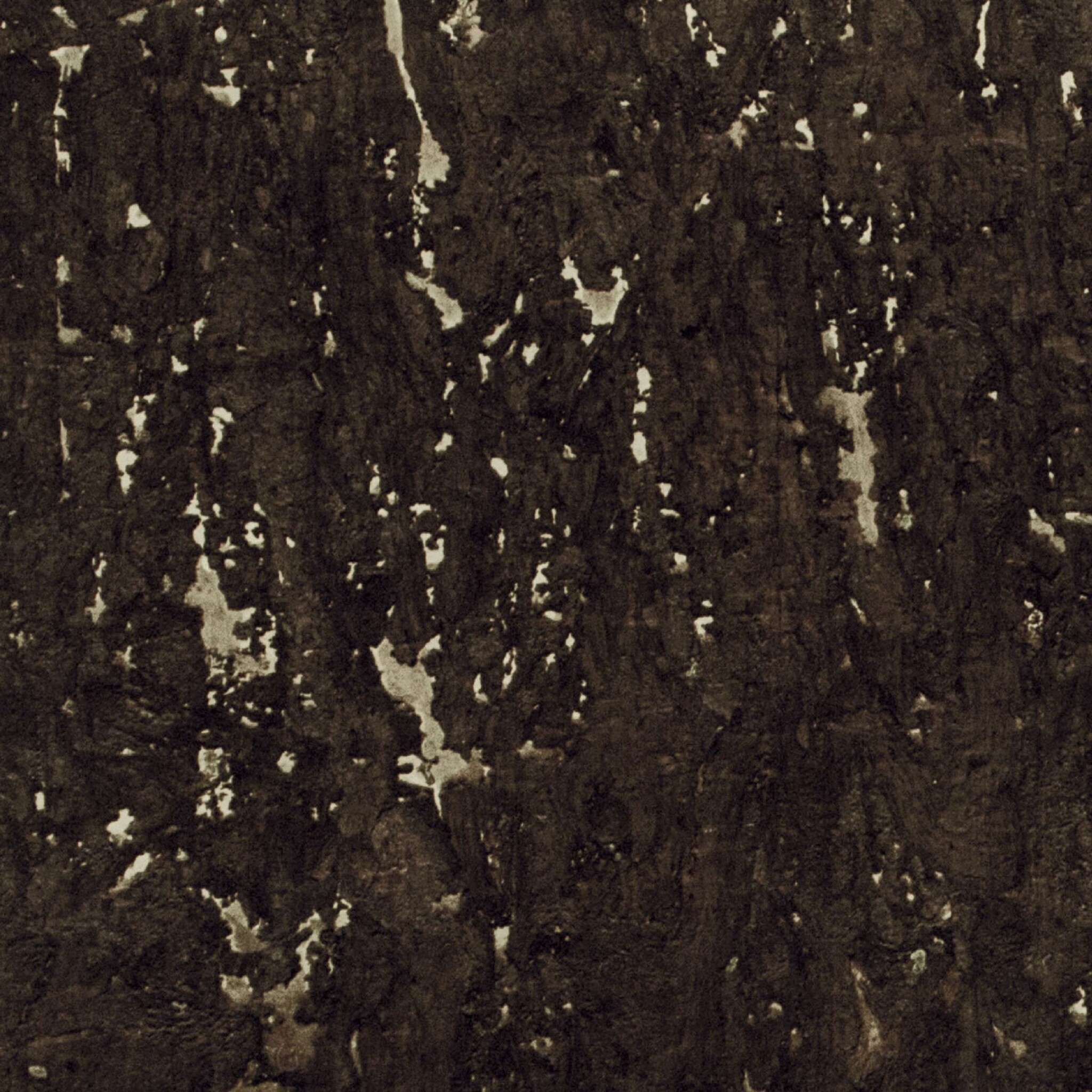 Élitis Eclat - Nature Precieuse Eclat - Love Dans Son Chalet - Proluca ...