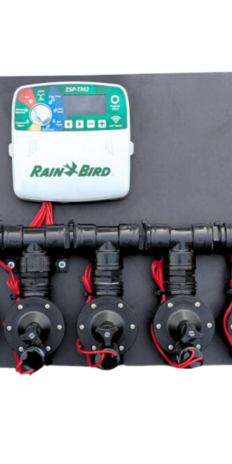 Complete beregeningsinstallatie met Rainbird computer 8 zones | Incl ...