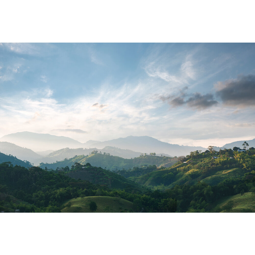 Ontdek de adembenemende kracht van berglandschappen - Amsterdam Wall Lab
