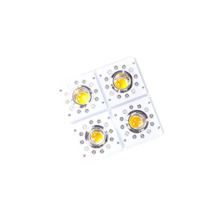 Apollo X4 - Apollo LED Grow lights - Grow-dutch.com