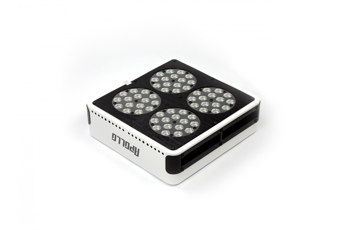 Apollo 4 180W - Apollo LED Grow lights - Grow-dutch.com