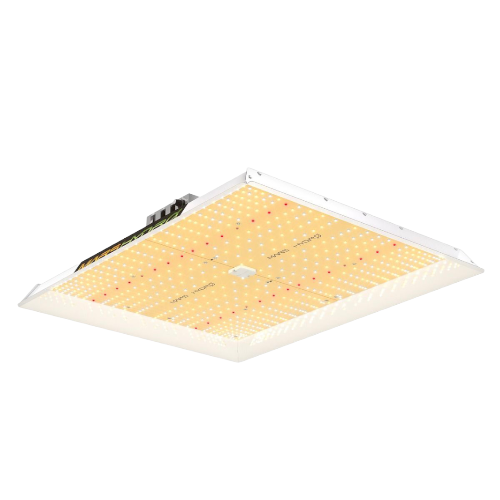 Mars Hydro TSW 2000 - Mars Hydro LED Grow lights - Grow-dutch.com