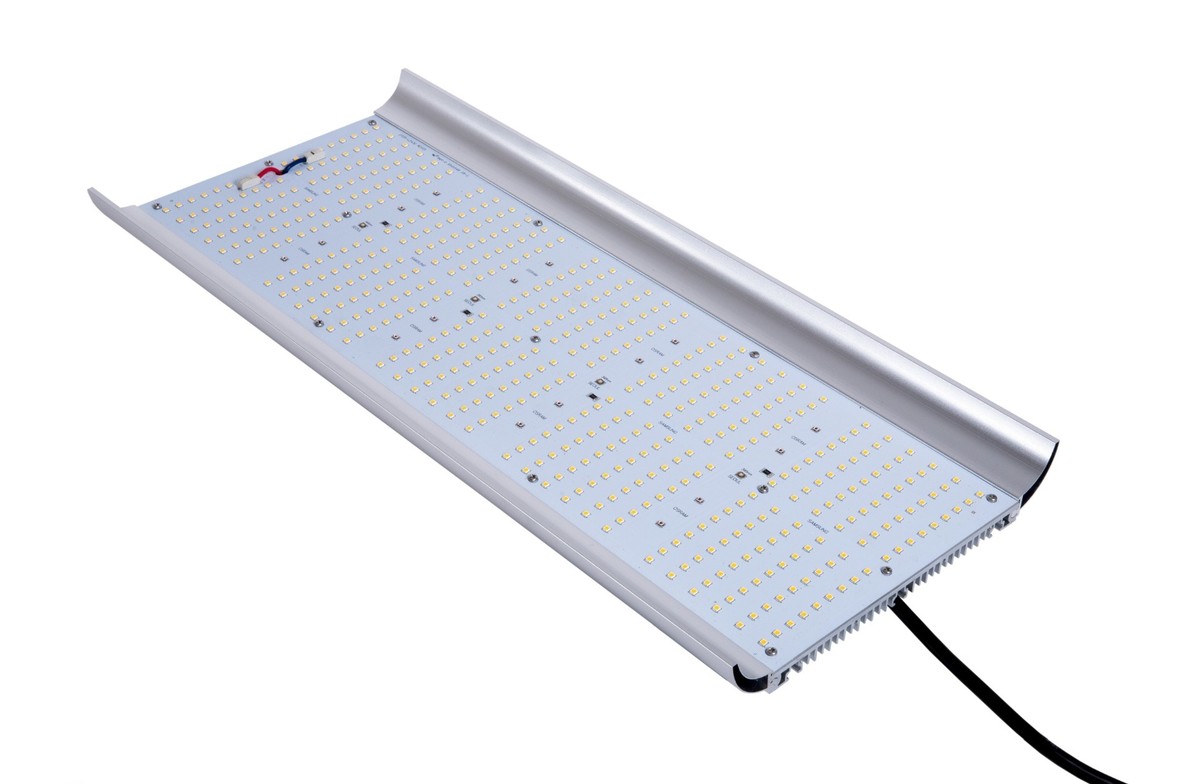 Apollo Quantum 240 watts - Apollo LED Grow lights - Grow-dutch.com
