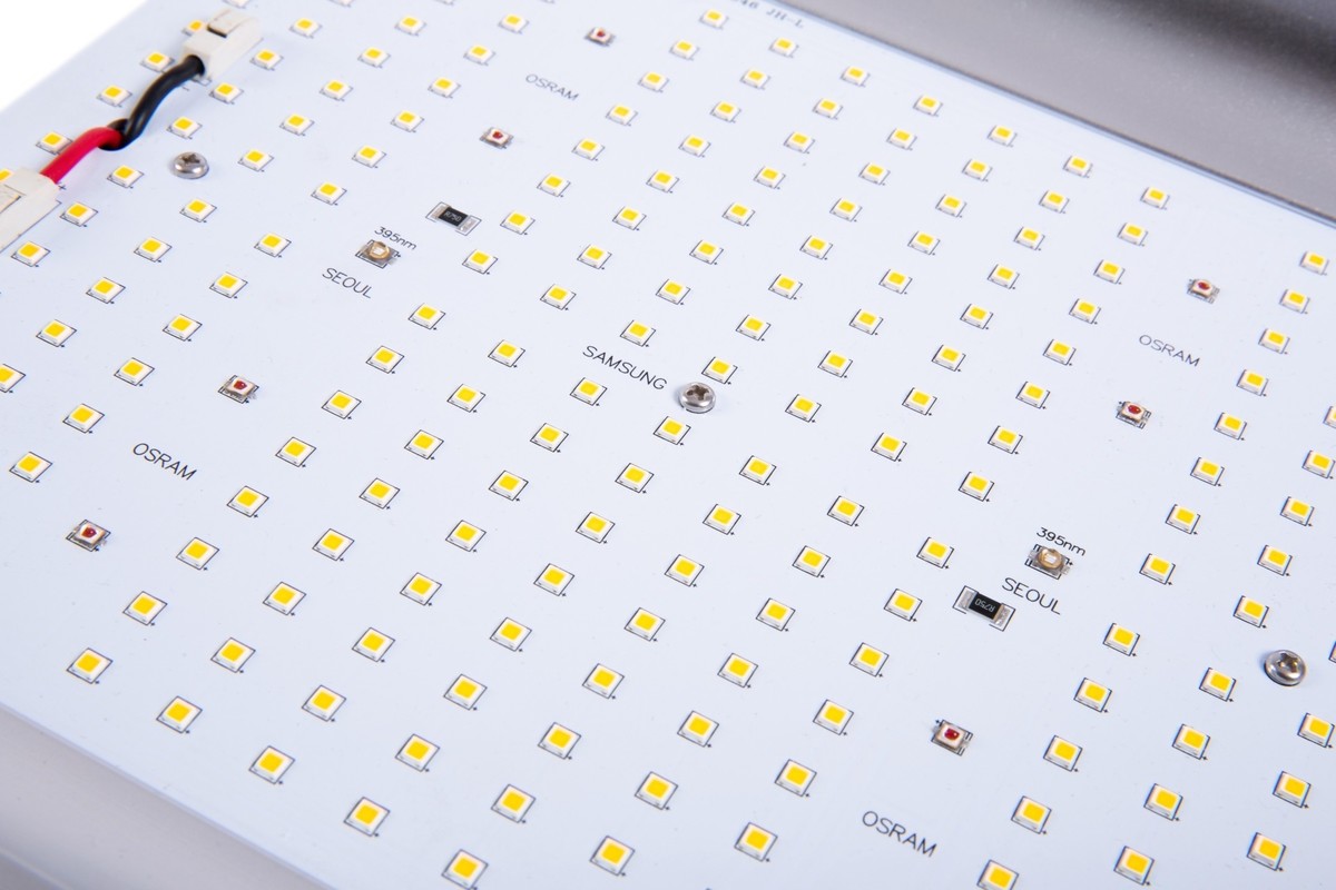 Apollo Quantum 240 watts - Apollo LED Grow lights - Grow-dutch.com