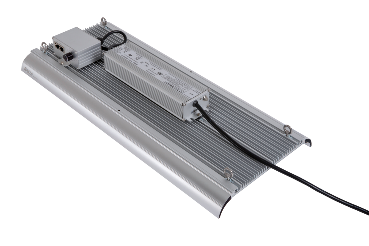 Apollo Quantum 240 watts - Apollo LED Grow lights - Grow-dutch.com