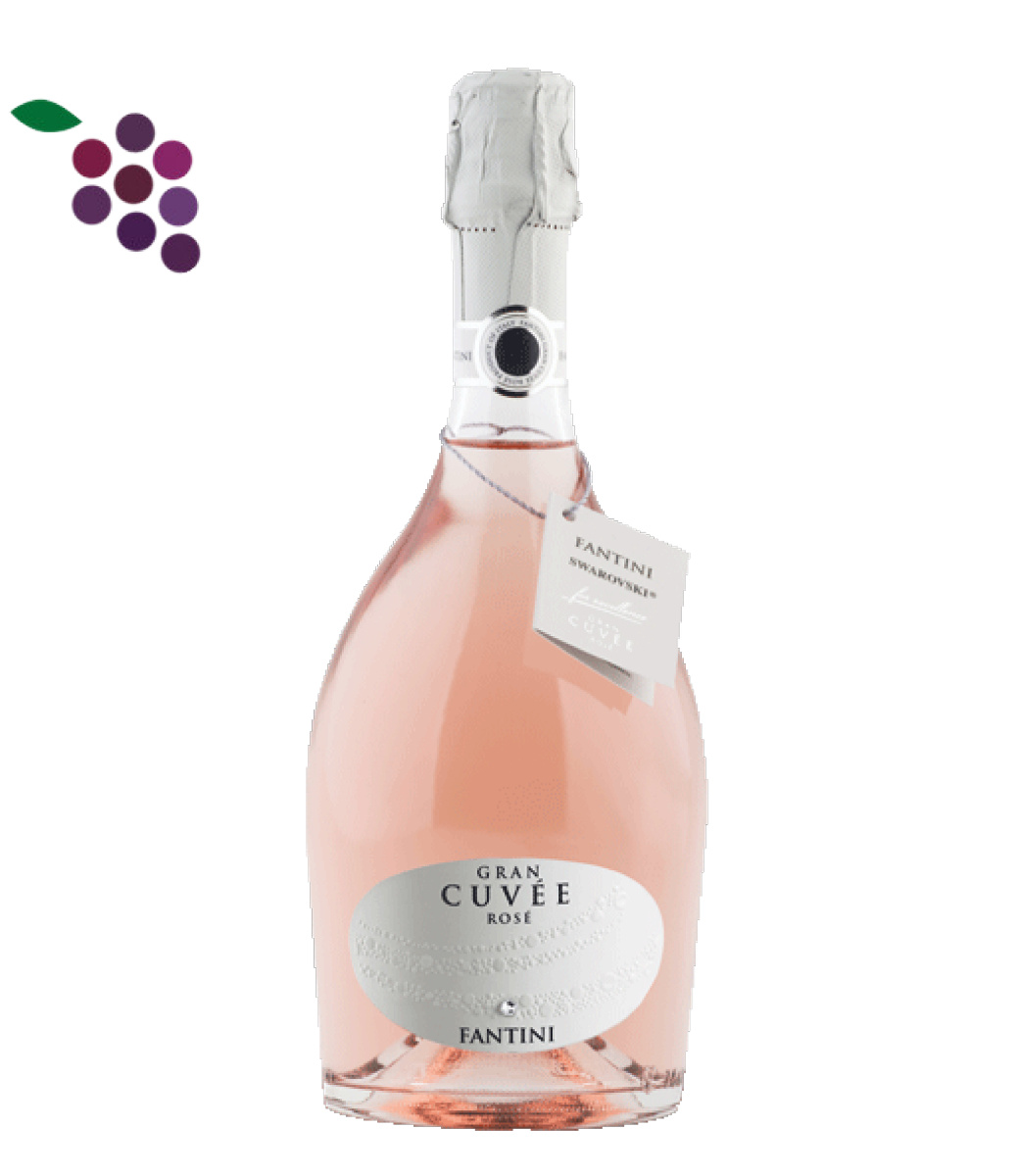Fantini Gran Cuvee Rosé Sparkling | Bubbels kopen? | Wijnhandeldentoom ...