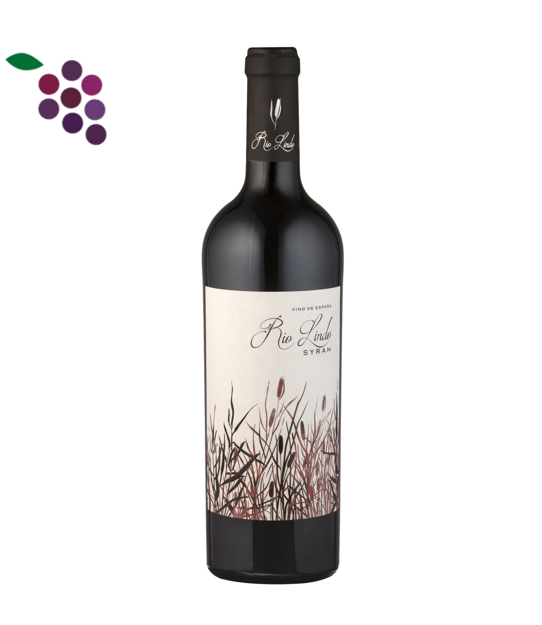 Rio Lindo Syrah Spaanse rode wijn kopen? Scherp geprijsd! - Wijnhandel ...