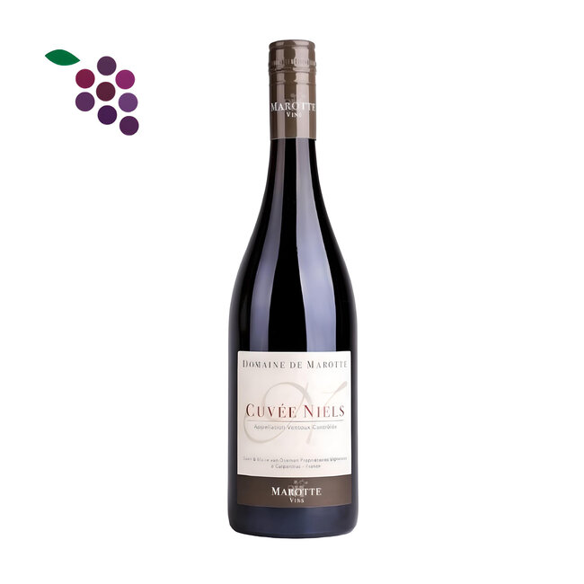 Domaine de Marotte Cuvee Niels 2020 | Staffelkorting - Wijnhandel den Toom