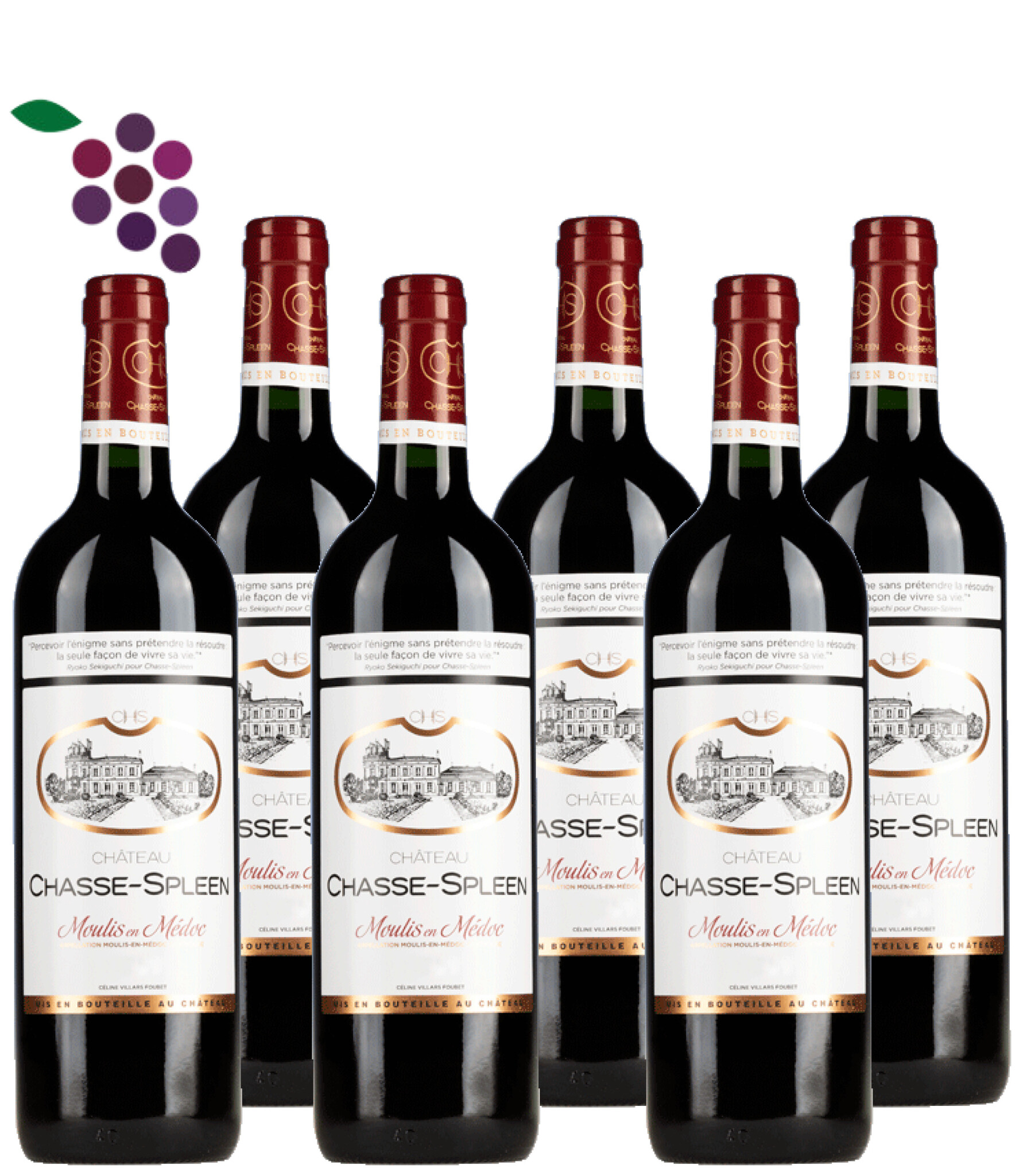 Château Chasse Spleen 2018 online kopen? Scherpe prijs! - Wijnhandel ...