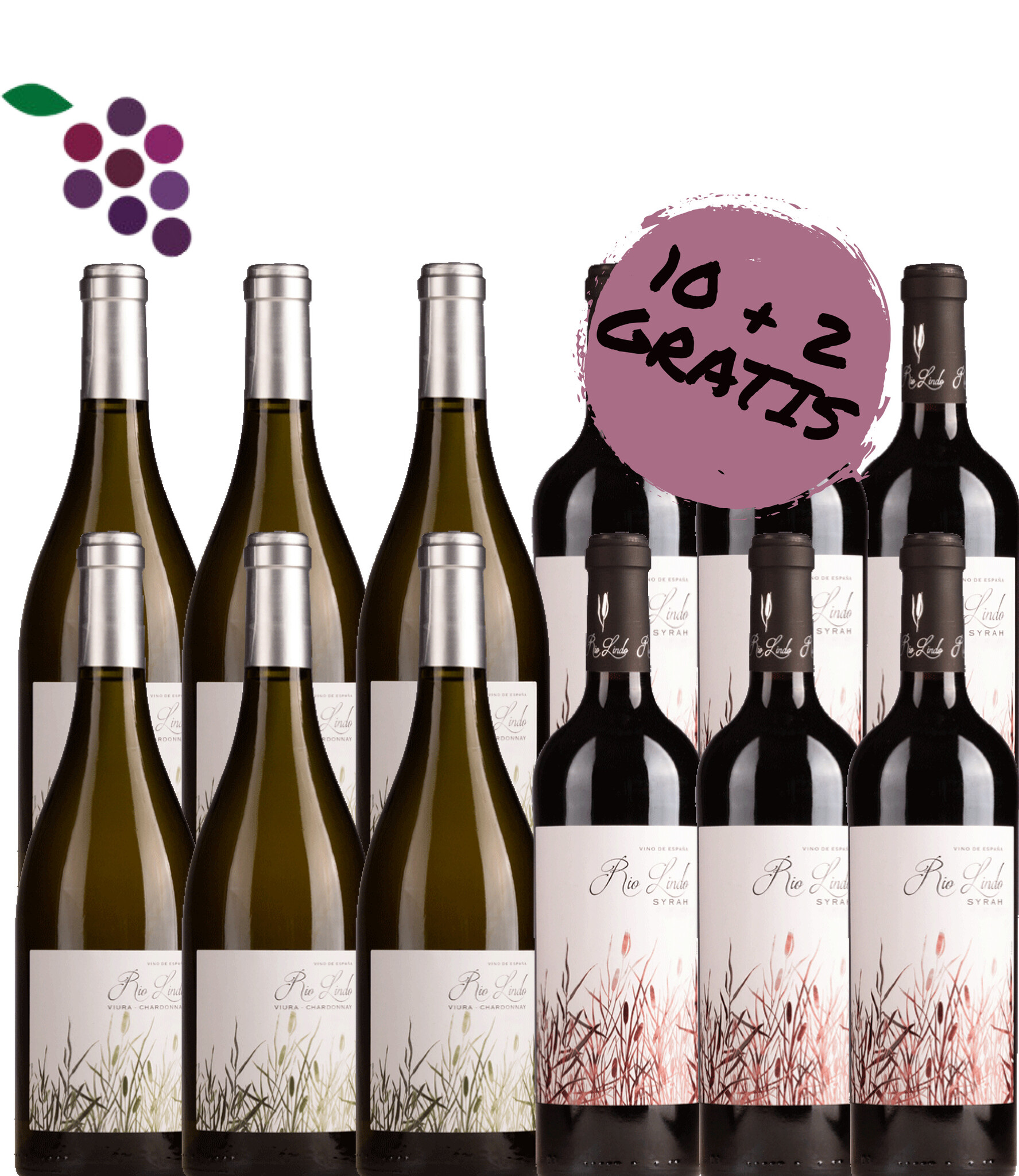 Rio Lindo Chardonnay & Syrah | 12x75cl | 10+2 Gratisdeal - Wijnhandel ...
