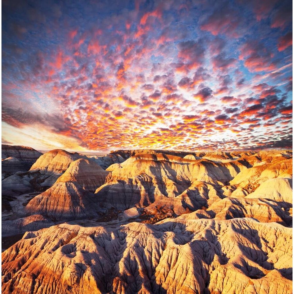 Gobi Desert - Umo Art & Design