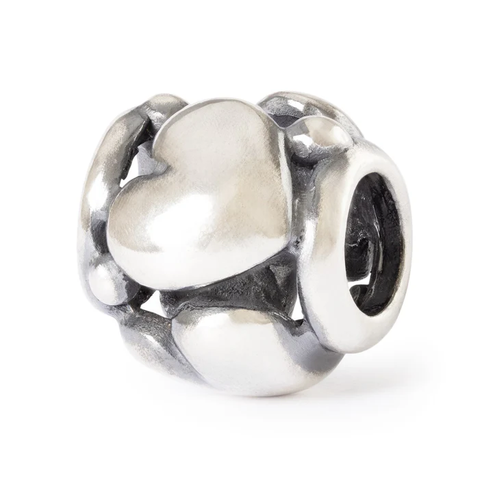 Trollbeads Voor Altijd Dichtbij TAGBE-20310 | Juwelier Jansen ...