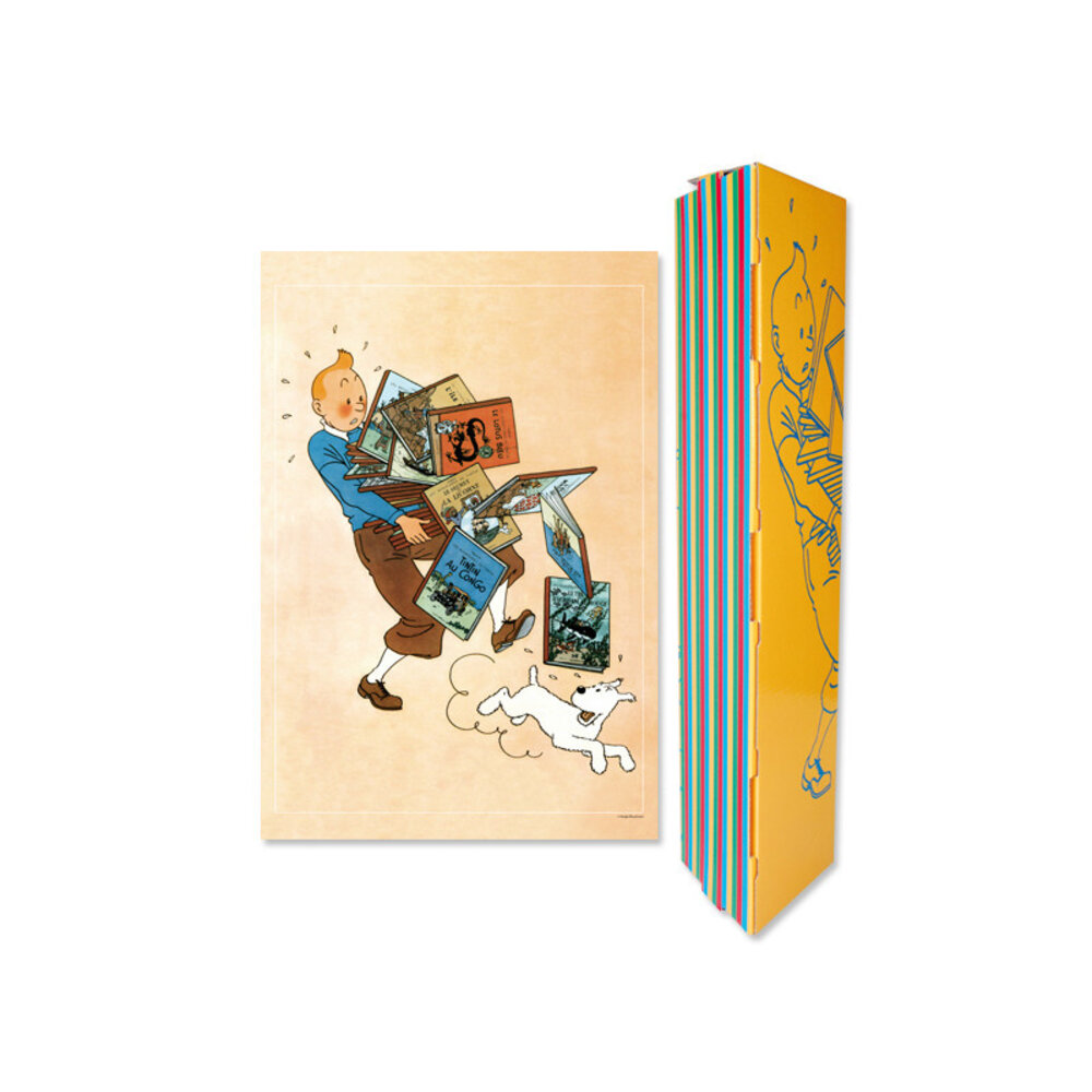 Tintin Poster "Tintin Albums" 40 x 60 cm - Planet Fantasy