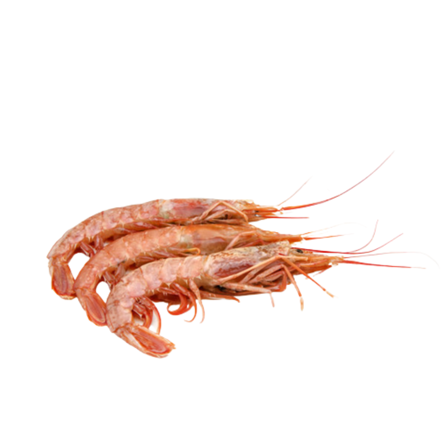 Argentinian Shrimp Argentinian Shrimp: Recipes And Mouthwatering Ideas