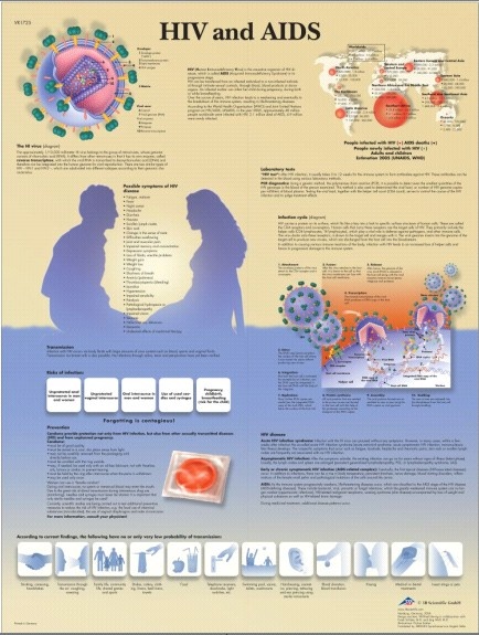 Anatomische Poster HIV en Aids - Vosmedisch.nl