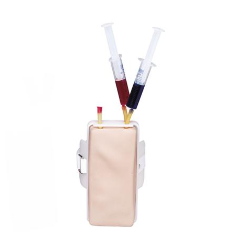 Intra veneuze injectie Trainer - Venatech IV Trainer - Vosmedisch.nl ...