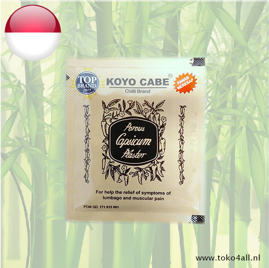 Porous Capsicum Plaster 10 pcs - Toko 4 All