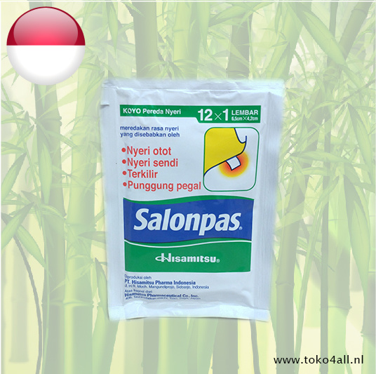 Salonpas Plasters Regular 12 pcs - Toko 4 All