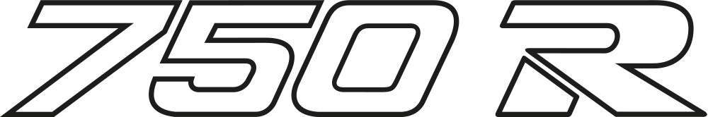 Kawasaki 750 R - Tuningstickers