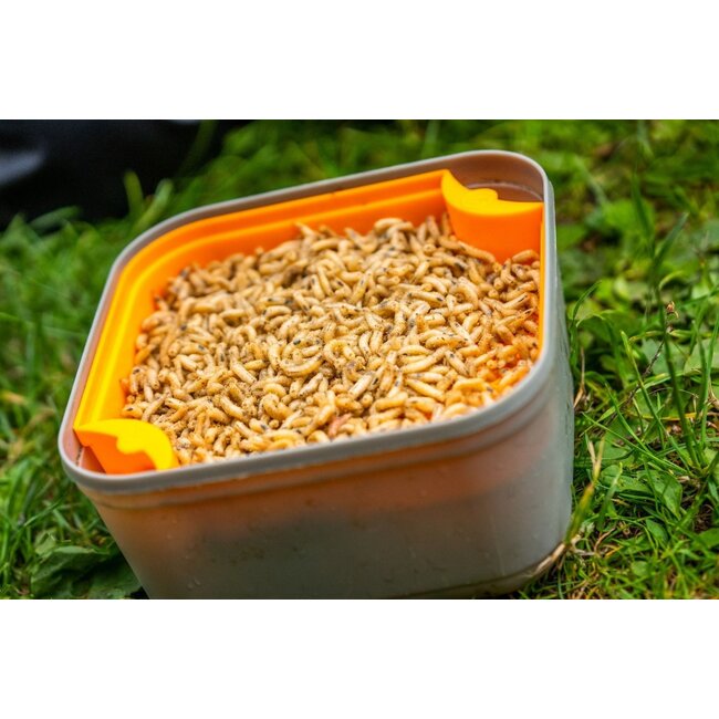 Guru Maggot Riddle - Hareco Hengelsport