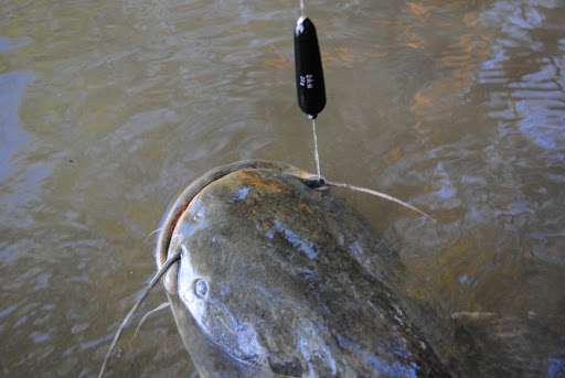 Madcat Subfloat - Hareco Hengelsport